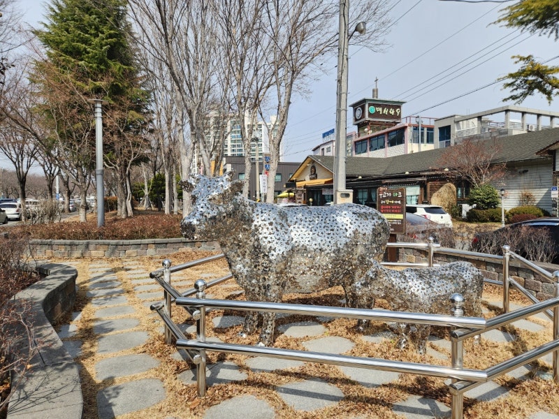 광양불고기 특화거리 맛집 시내식당 가성비 좋은 광양맛집 네이버 블로그