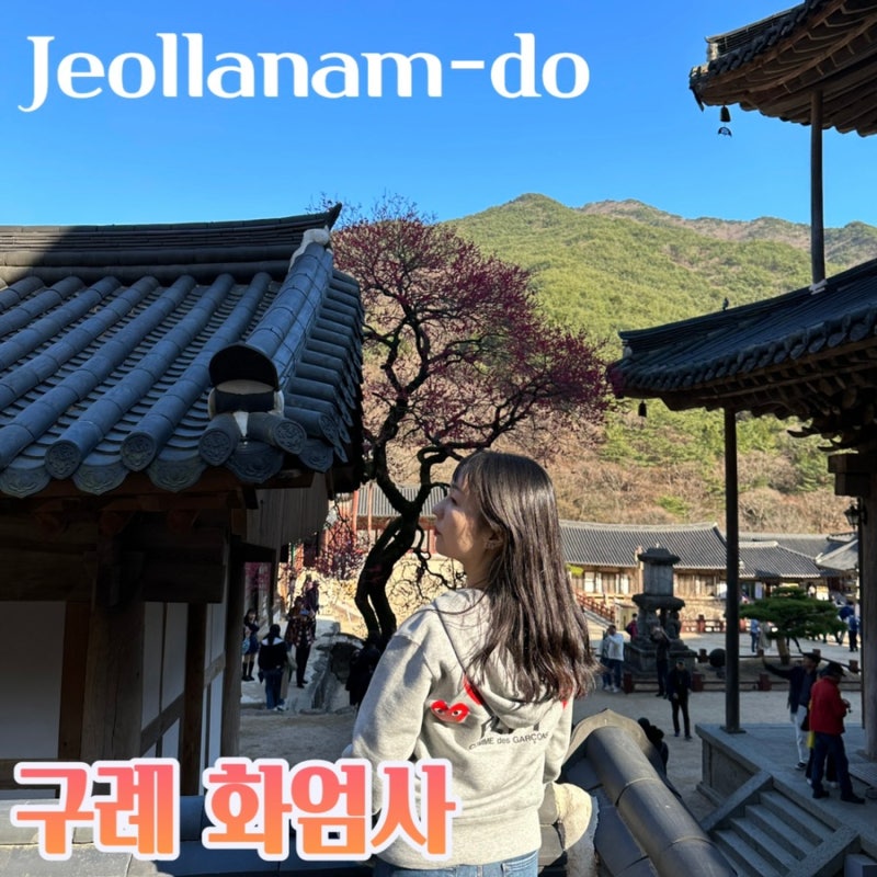 전남 구례 가볼만한곳 화엄사 홍매화 입장료 3월 14일 개화 상황 각황전 네이버 블로그