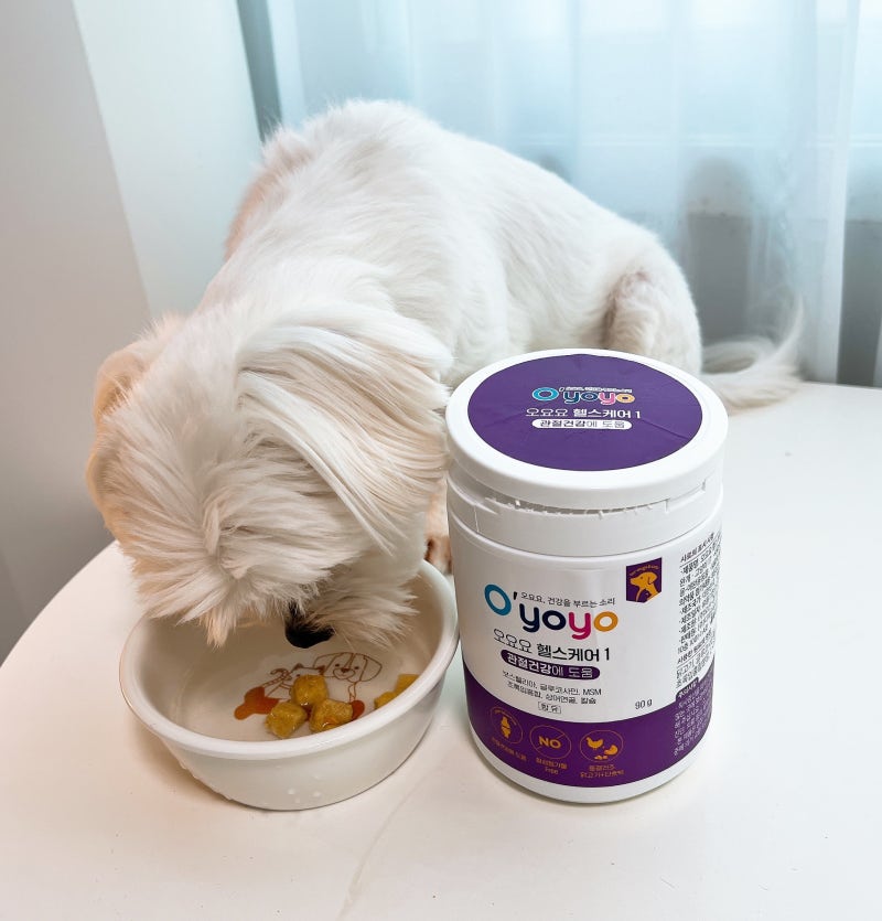 강아지 관절영양제 관절 탈구 예방 위해 챙겼어요 : 네이버 블로그