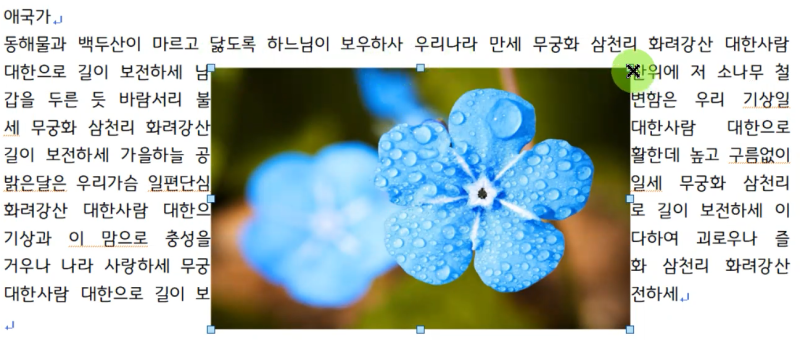 울산컴퓨터학원 사쌤과 함께하는 한컴오피스 한글의 그림 형식과 개체 속성의 기본 네이버 블로그
