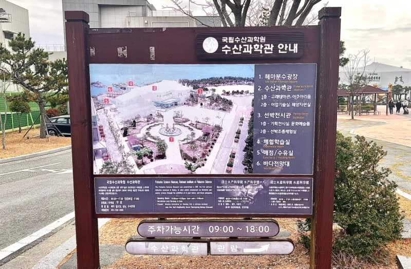 부산 기장 해양 국립수산과학관 어린이 박물관 네이버 블로그