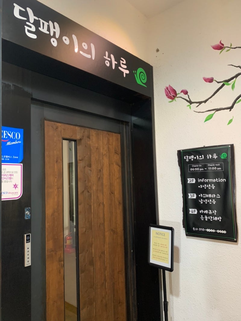 [전주 숙소] 전주게스트하우스 전주한옥마을 달팽이의하루 게스트하우스 네이버 블로그