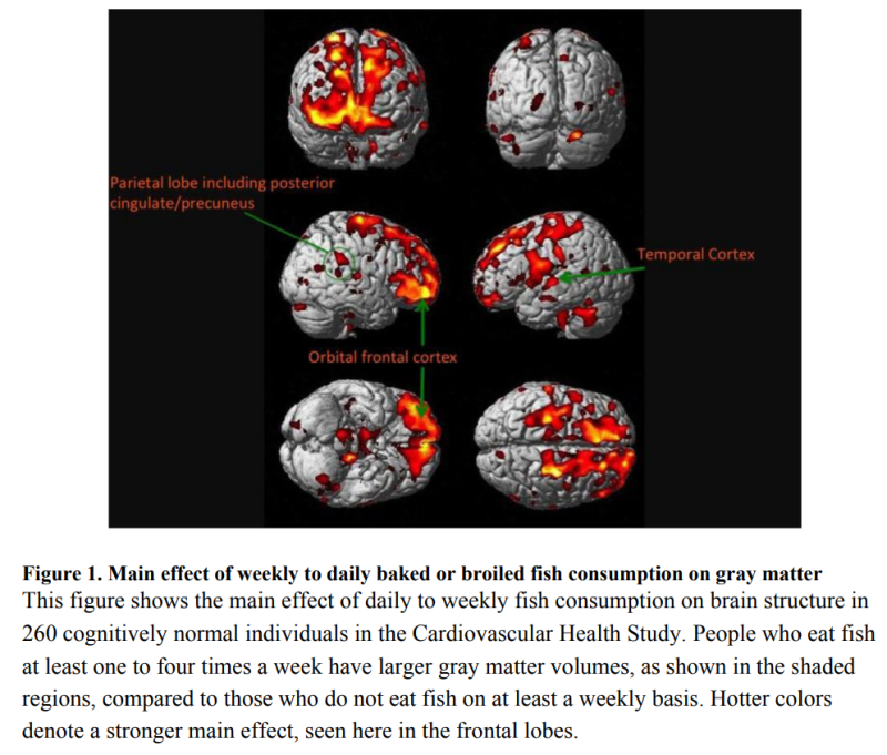 [TED] Cyrus A. Raji : 네이버 블로그