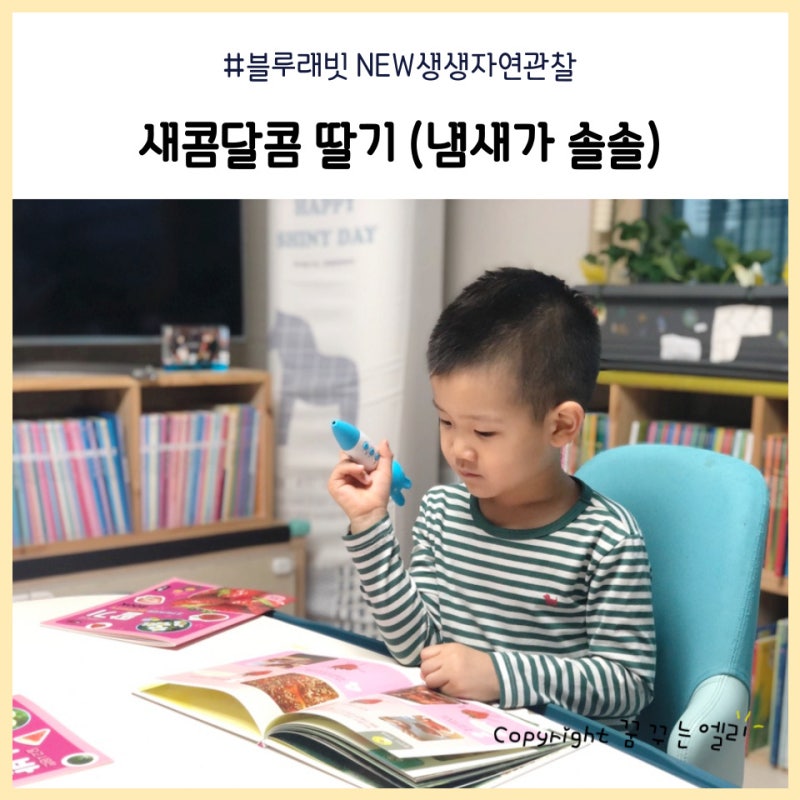 블루래빗 전집 자연관찰 딸기책 향기가 솔솔~ 네이버 블로그