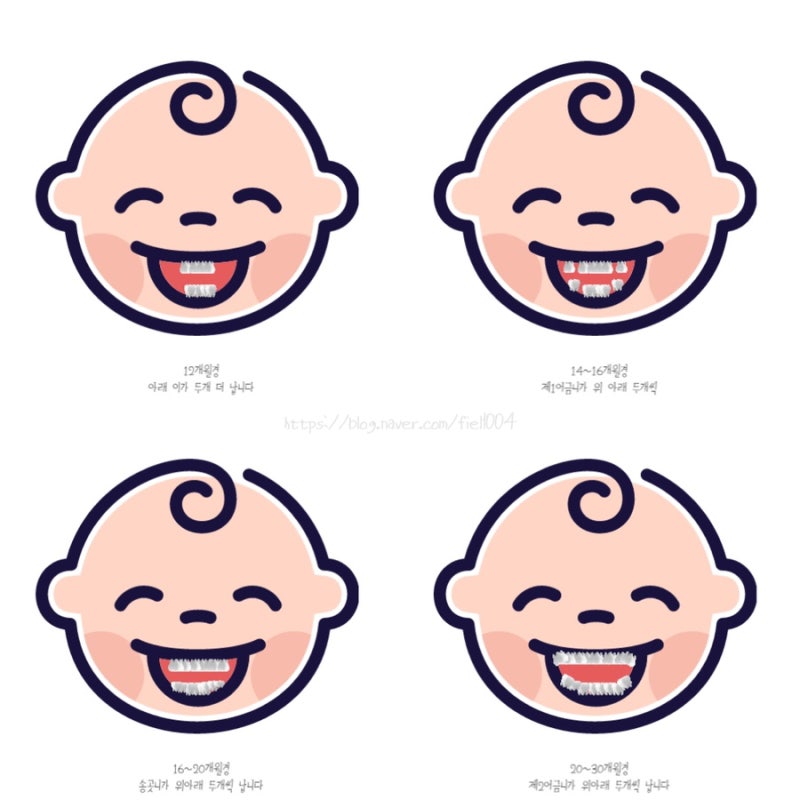 아기 이빨 치아 첫 이 유치 나는 순서 및 이앓이 증상 네이버 블로그