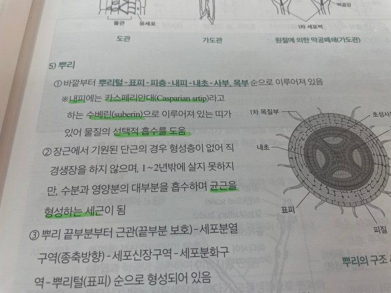 나무의사 자격증 시험 응시자격 확인하고 준비하기 네이버 블로그