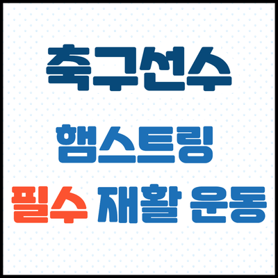 축구선수 햄스트링 필수 재활 운동 / Askling L-protocol / The Extender, The Diver, The ...