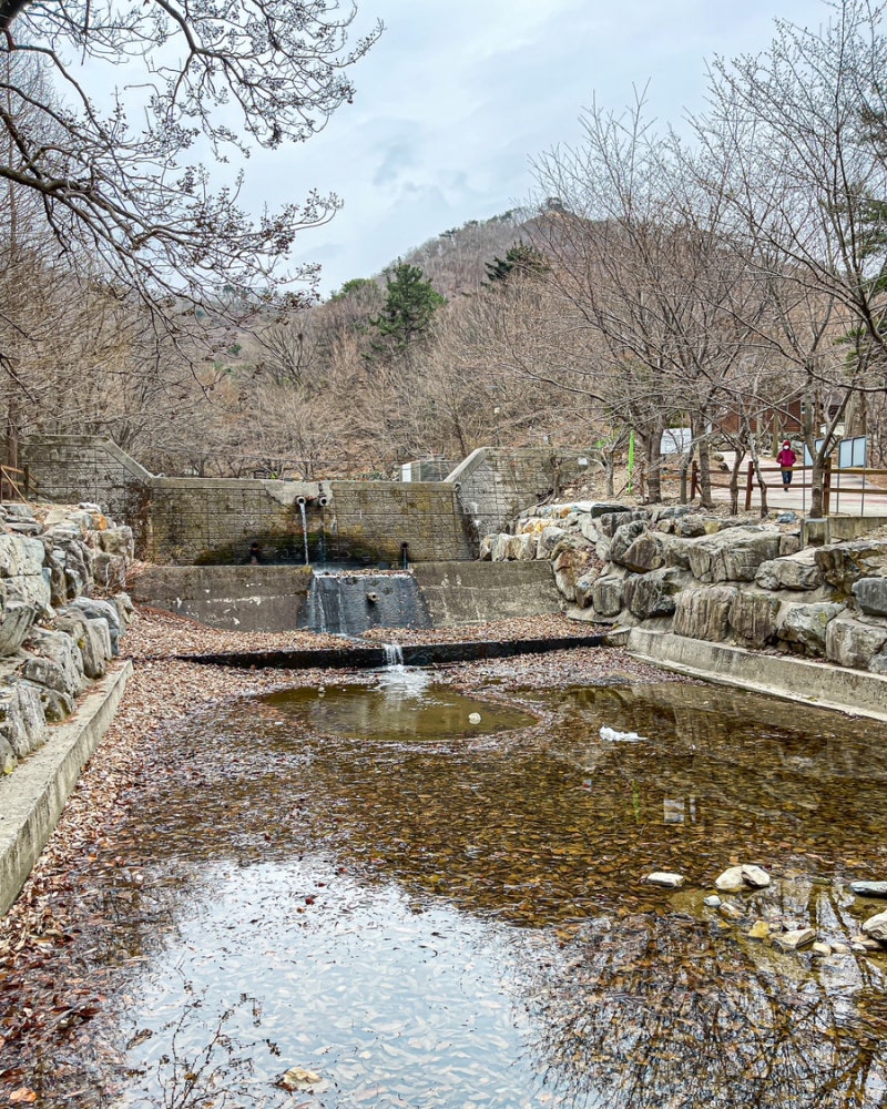 양산 대운산 자연휴양림 미니멀 캠핑 후기 사이트 정보 네이버 블로그