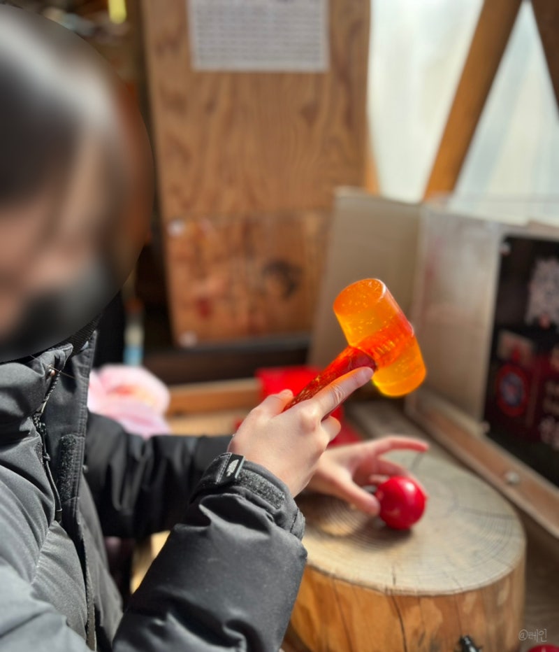 초등학교 교외체험학습 신청서와 보고서 작성 방법 네이버 블로그