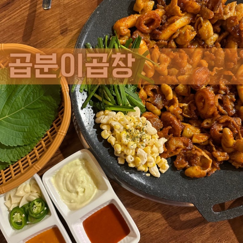 포천신읍동 맛집 곱창막창오돌뼈 한상 곱분이곱창 포천신읍점 네이버 블로그