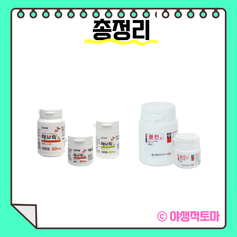 통풍약 페브릭정 Vs 콜킨정 성분 작용기전 효능 부작용 네이버 블로그
