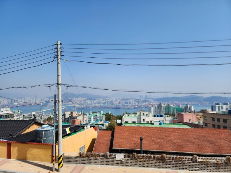 부산 영도 아이랑 가볼만한곳조내기 고구마 역사기념관 숲놀이터 네이버 블로그