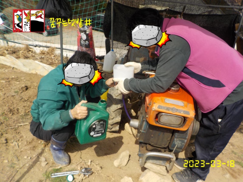 상추는 심고·· 쪽파는 수확하고·· : 네이버 블로그