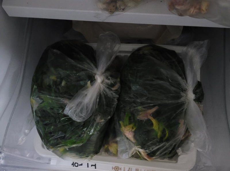 시금치 보관 시금치 냉동 보관법 시금치 무침 도초도 섬초 냉동 해놓고 먹는법 네이버 블로그