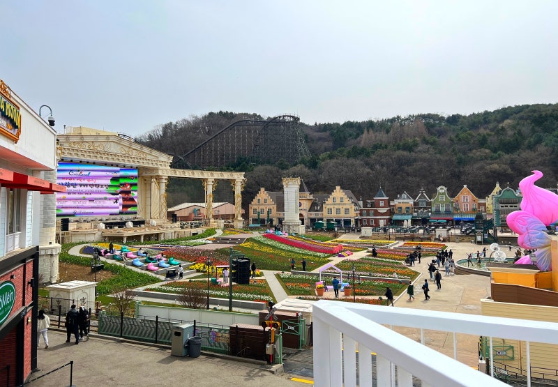 에버랜드 튤립축제 페어리타운 오픈일에 다녀온 후기 네이버 블로그