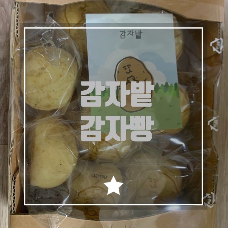 춘천 감자밭 카페 감자빵 후기 네이버 블로그