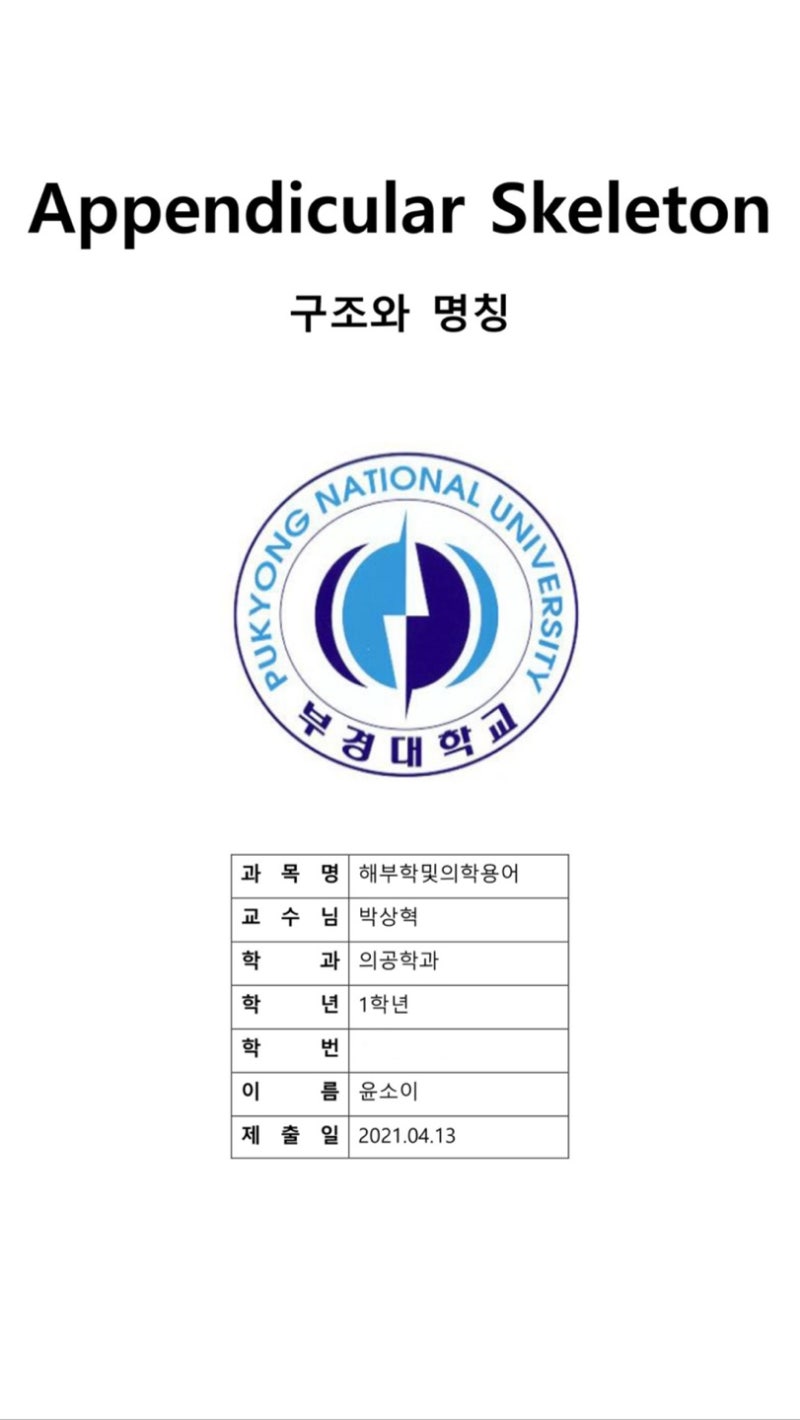 스마트헬스케어학부 의공학전공에서는 뭐 배워? [인체해부학] : 네이버 블로그