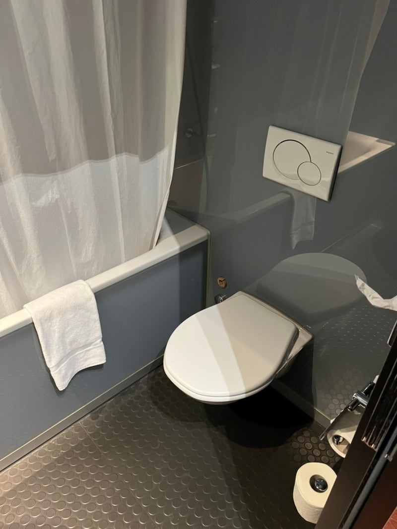 스위스파리 3월 신혼여행 취리히 가성비 숙소 호텔 몬타나 취리히 Hotel Montana Zurich 네이버 블로그