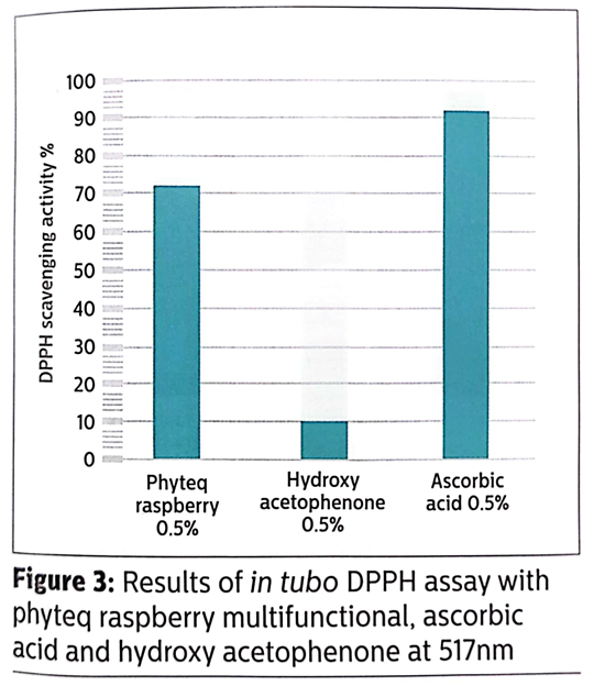 DPPH， FRAP를 이용한 항산화력 측정 : 네이버 블로그