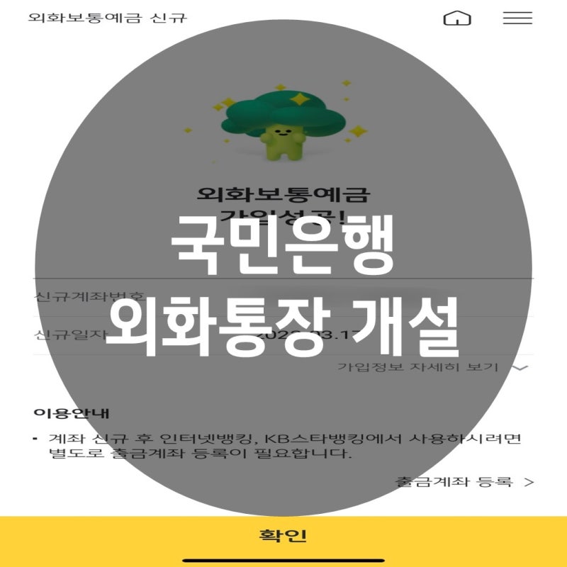 국민은행 앱으로 5분 만에 외화통장 만드는 방법외화보통예금 네이버 블로그