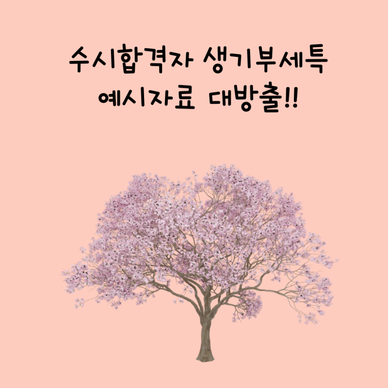 2024수시준비 1등급 생기부예시 And 세특예시 사탐과목 세특예시 네이버 블로그