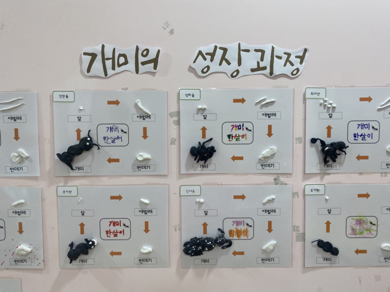4월 개미 프로젝트 활동자료 활동지 Feat 유치원 어린이집 활동 자료 네이버 블로그