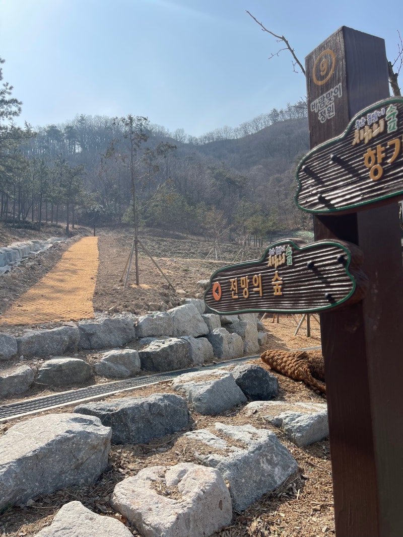 전남 등산 무안 연징산 등산코스 소요시간 최단코스 네이버 블로그