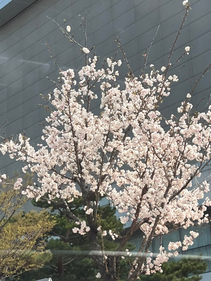 광안리필라테스 라임필라테스자이로토닉 연진아 난 자이로토닉해 네이버 블로그
