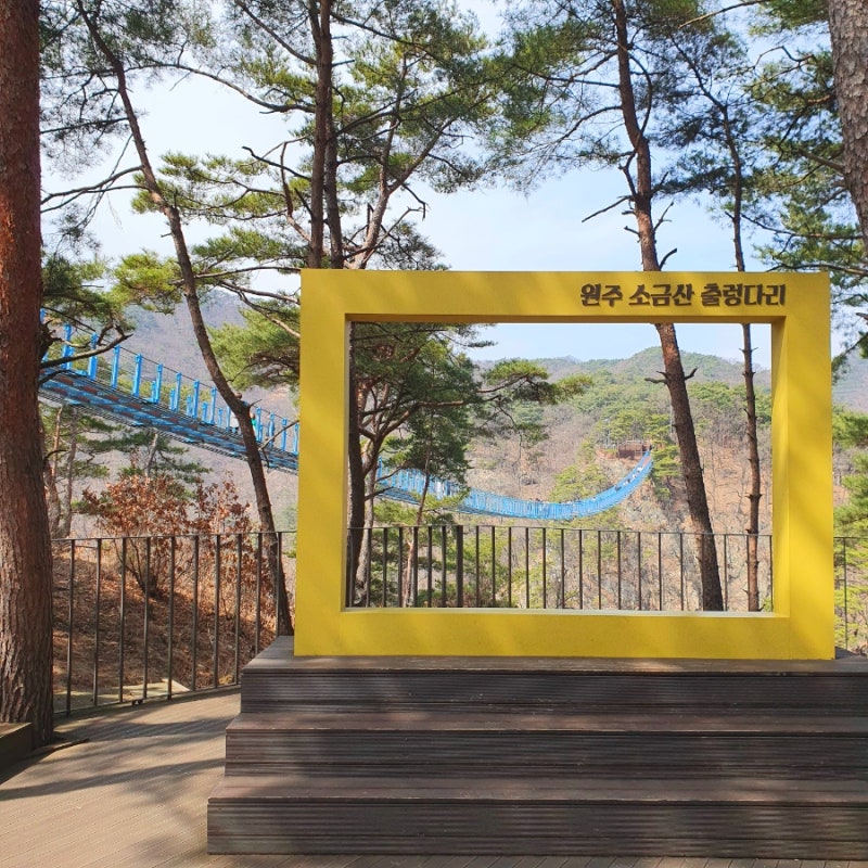원주 소금산출렁다리 원주여행 관광 필수 코스 입장료 할인 및 케이블카 정보 네이버 블로그