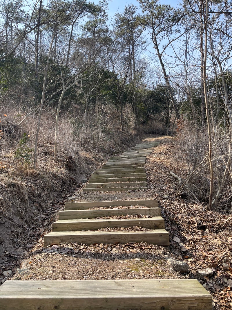 전남 등산 무안 연징산 등산코스 소요시간 최단코스 네이버 블로그