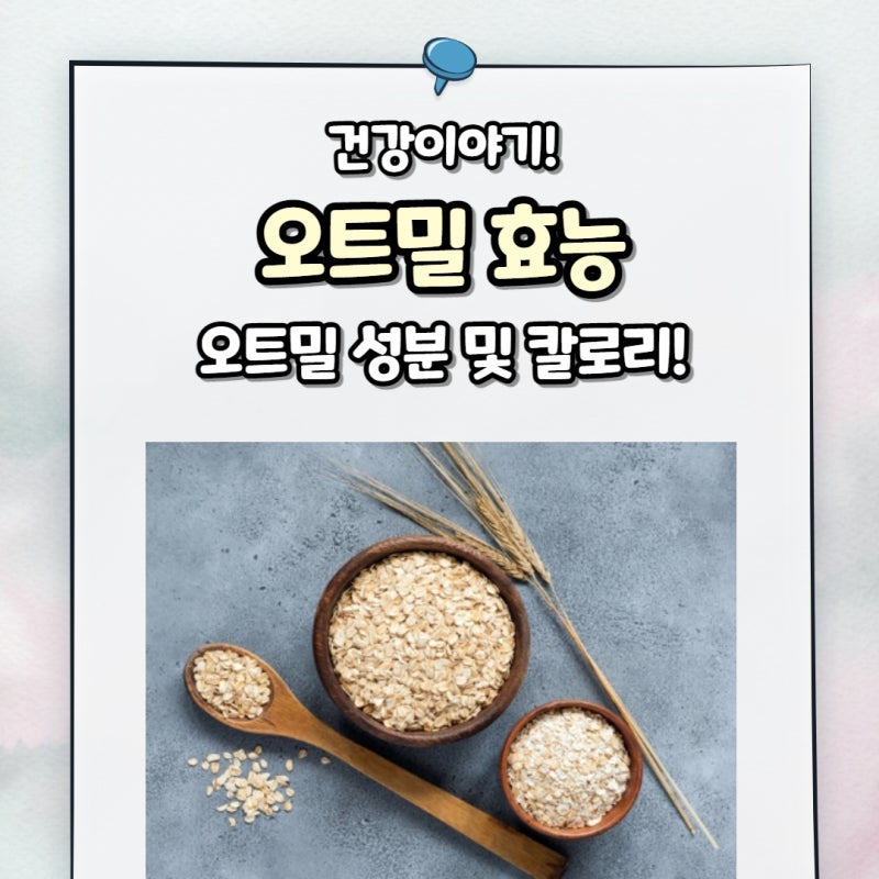 오트밀 효능 부작용 정보와 오트밀 칼로리 얼마인가 네이버 블로그