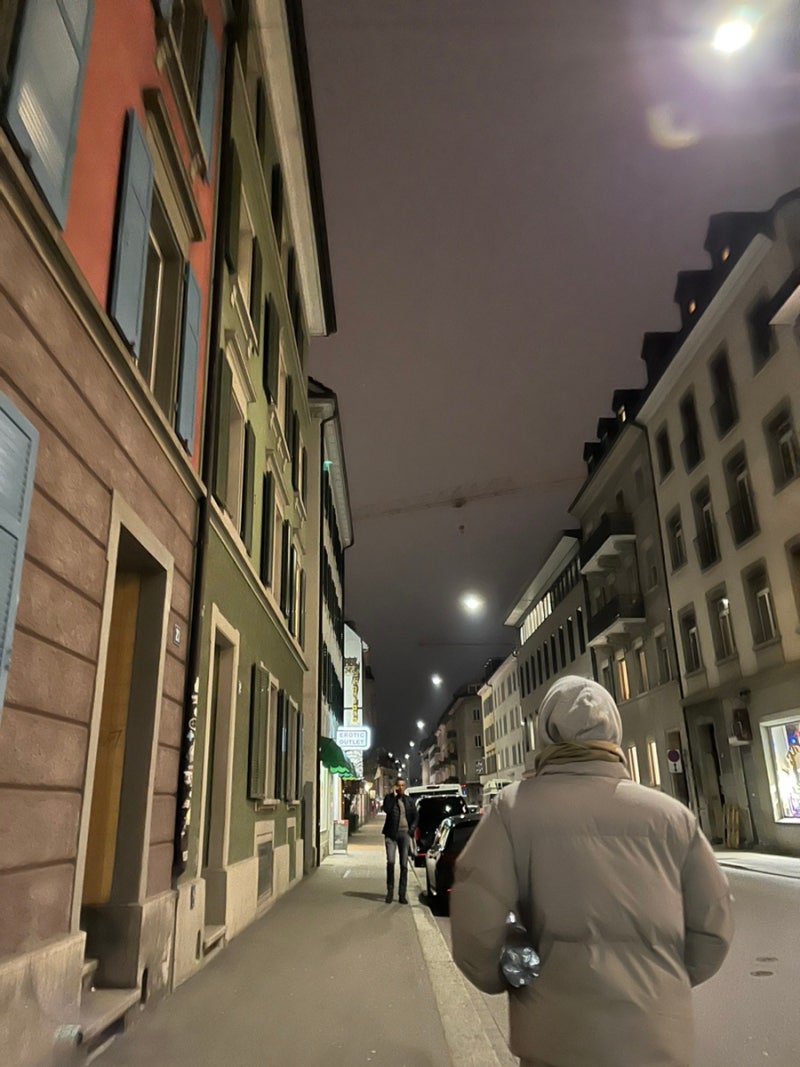 스위스파리 3월 신혼여행 취리히 가성비 숙소 호텔 몬타나 취리히 Hotel Montana Zurich 네이버 블로그