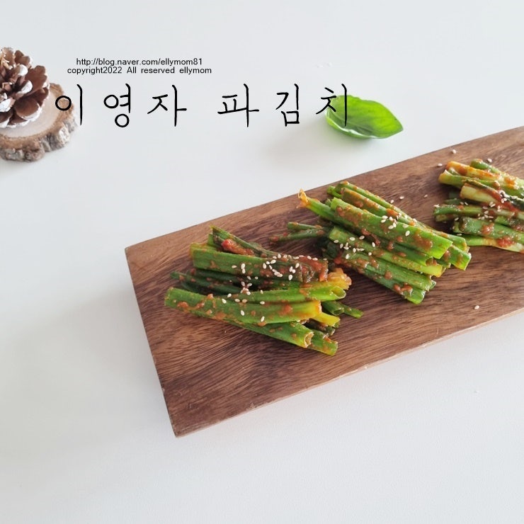 이영자 파김치 레시피 꽃게액젓 넣어 만드는 파김치 담그는법 네이버 블로그