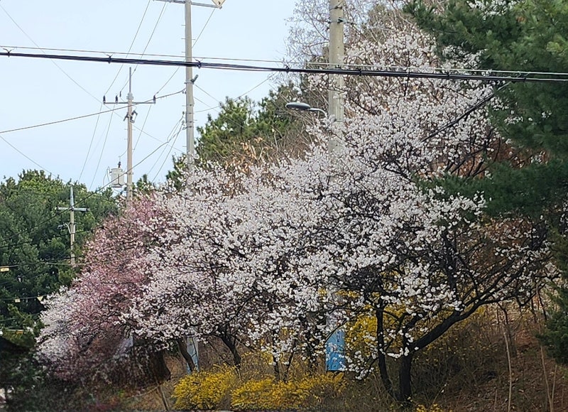 대흥동헬스 바닐라짐 대전 중앙로역 프리미엄 헬스장 바닐라짐에 빠져보세요~ 대흥동pt 네이버 블로그