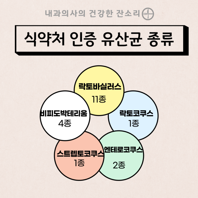 유산균 선택 가이드라인 내게 필요한 유산균은 유산균 종류 복용시간과 복용방법 네이버 블로그