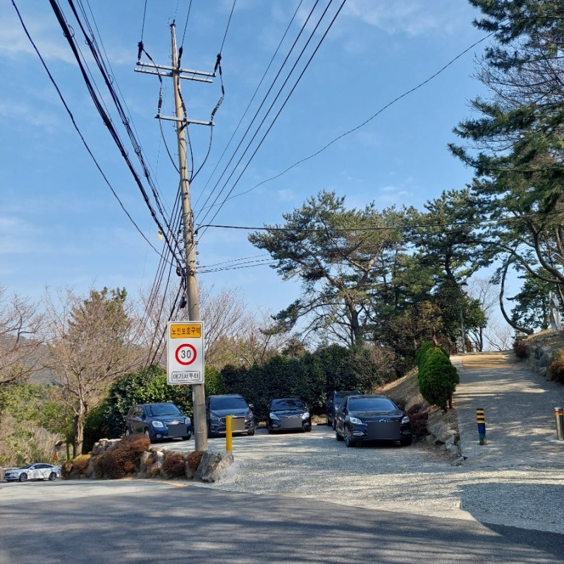 부산 서구 숲속놀이터 어린이도서관 들락날락 네이버 블로그