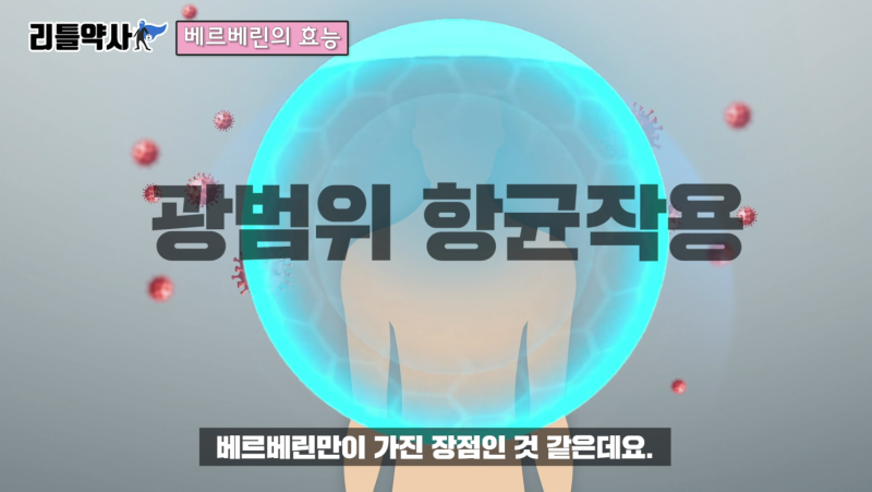 당뇨에 좋은 음식 영양제 베르베린 효능 네이버 블로그