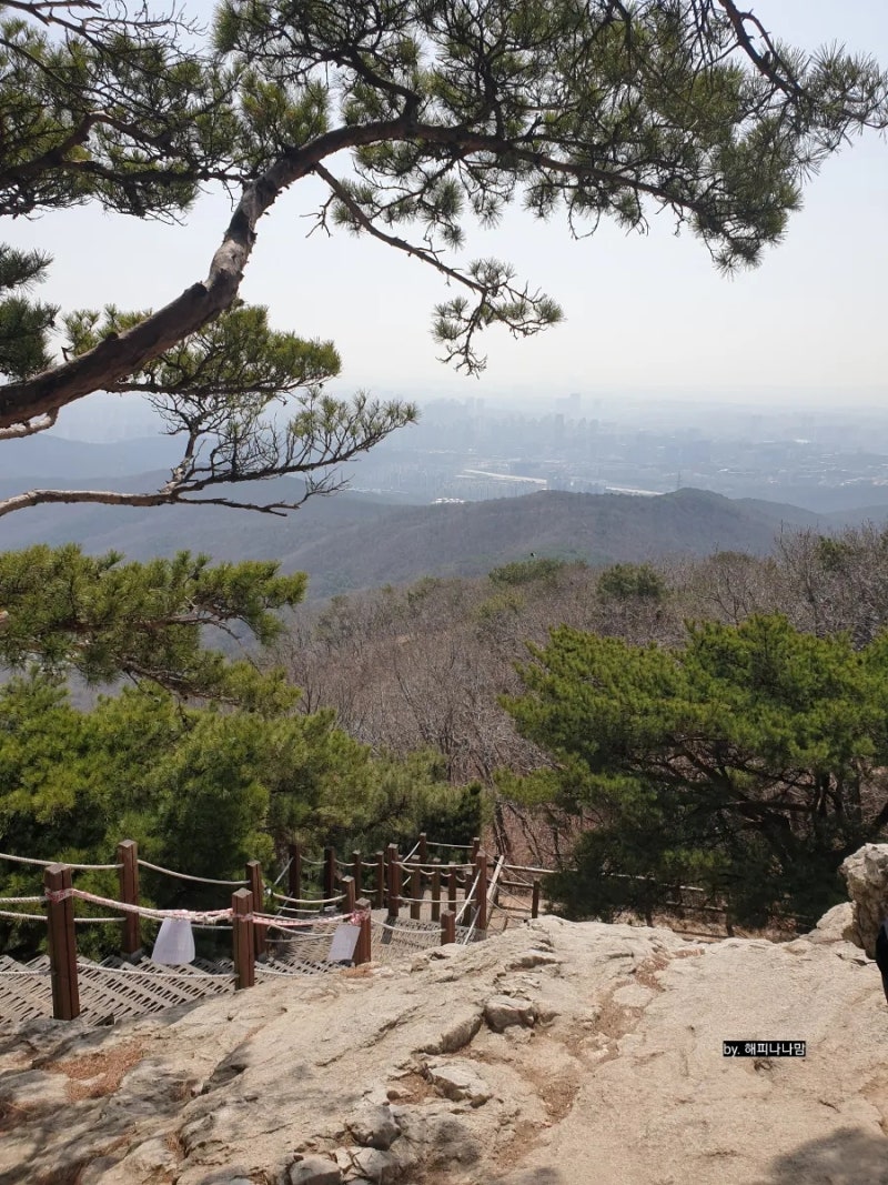 광교산 혼산 반딧불이화장실 형제봉 토끼재 상광교종점으로 내려오는 코스 네이버 블로그