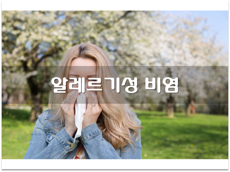 클라리틴 클라리틴정 로라타딘loratadine 2세대 항히스타민제 알레르기성 비염 두드러기 재채기 성분 효능 효과 복용법
