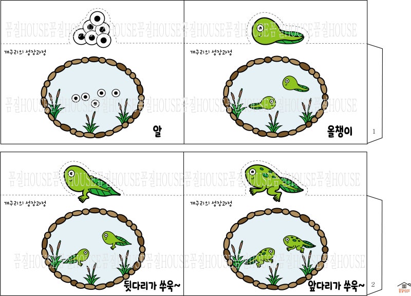 【봄】 나비개구리의한살이유아미술무료도안봄만들기나비의성장과정개구리의성장과정봄미술어린이집유치원미술초등미술집콕