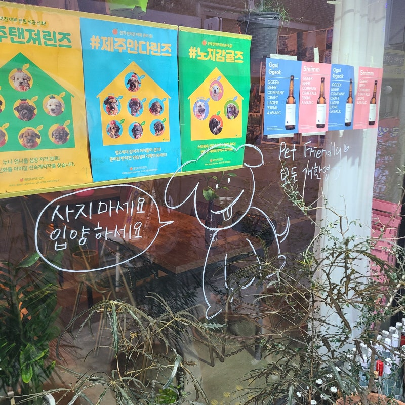 수유 반려견 동반애견 동반 술집 모모술방 네이버 블로그