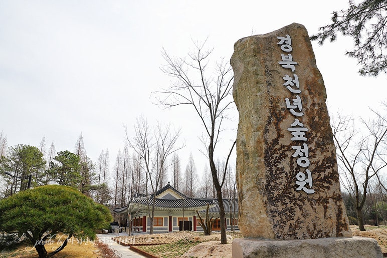 경주 경북산림환경연구원 천년숲정원 매화 경주 데이트 코스 네이버 블로그