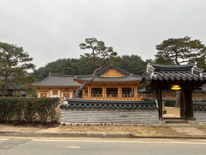 대구 한옥 카페 하빈 묘운 근교 드라이브 코스로 좋다능 네이버 블로그