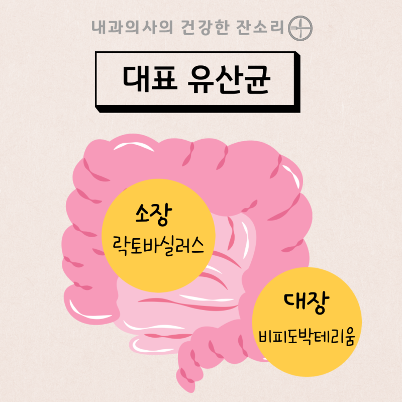유산균 선택 가이드라인 내게 필요한 유산균은 유산균 종류 복용시간과 복용방법 네이버 블로그