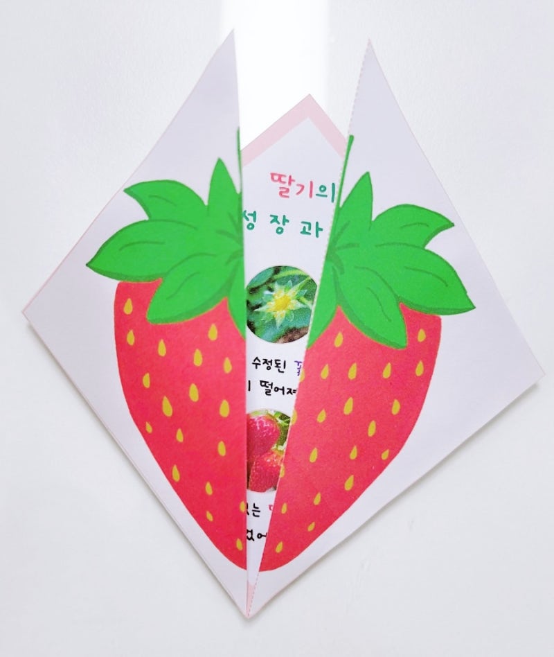 자료공유 딸기 작은 책 만들기🍓 Feat 딸기의 성장과정딸기활동지 네이버 블로그