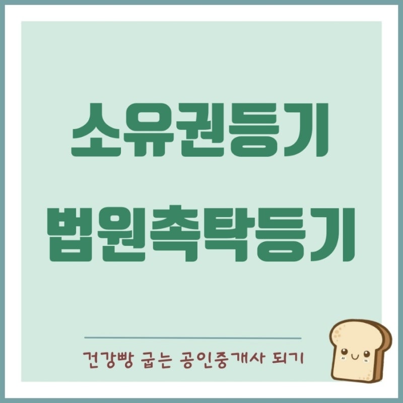 부동산 공시법등기절차 등기신청의무 표제부등기 소유권보존 이전등기 관공서 법원촉탁 등기관의 직권등기 네이버 블로그