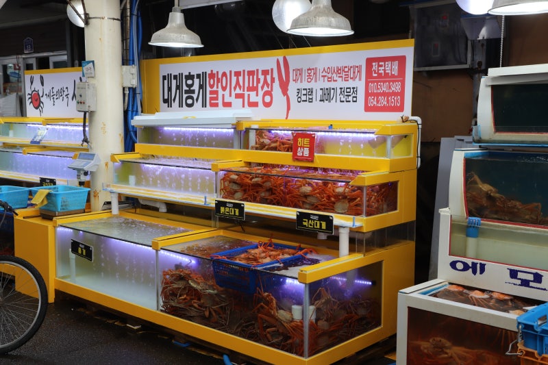 구룡포시장 구룡포항 상세안내회 해산물 대게 주차장 등 네이버 블로그