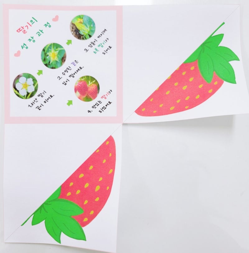 자료공유 딸기 작은 책 만들기🍓 Feat 딸기의 성장과정딸기활동지 네이버 블로그