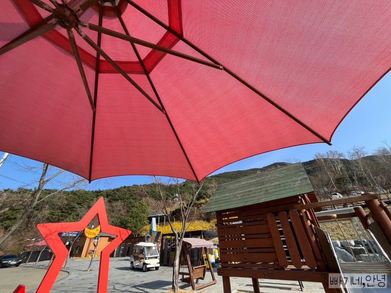 대구 달서 별빛캠프 숲속생태놀이터 달서 목재문화관 예약정보 네이버 블로그