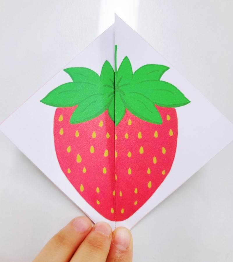 자료공유 딸기 작은 책 만들기🍓 Feat 딸기의 성장과정딸기활동지 네이버 블로그